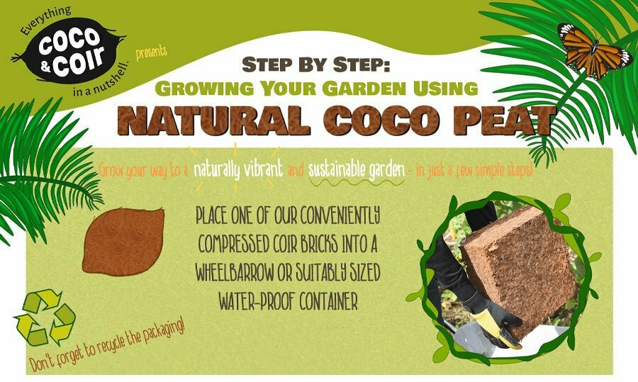 Step By Step: Growing Your Garden With Natural Coco Peat | Coco & Coir