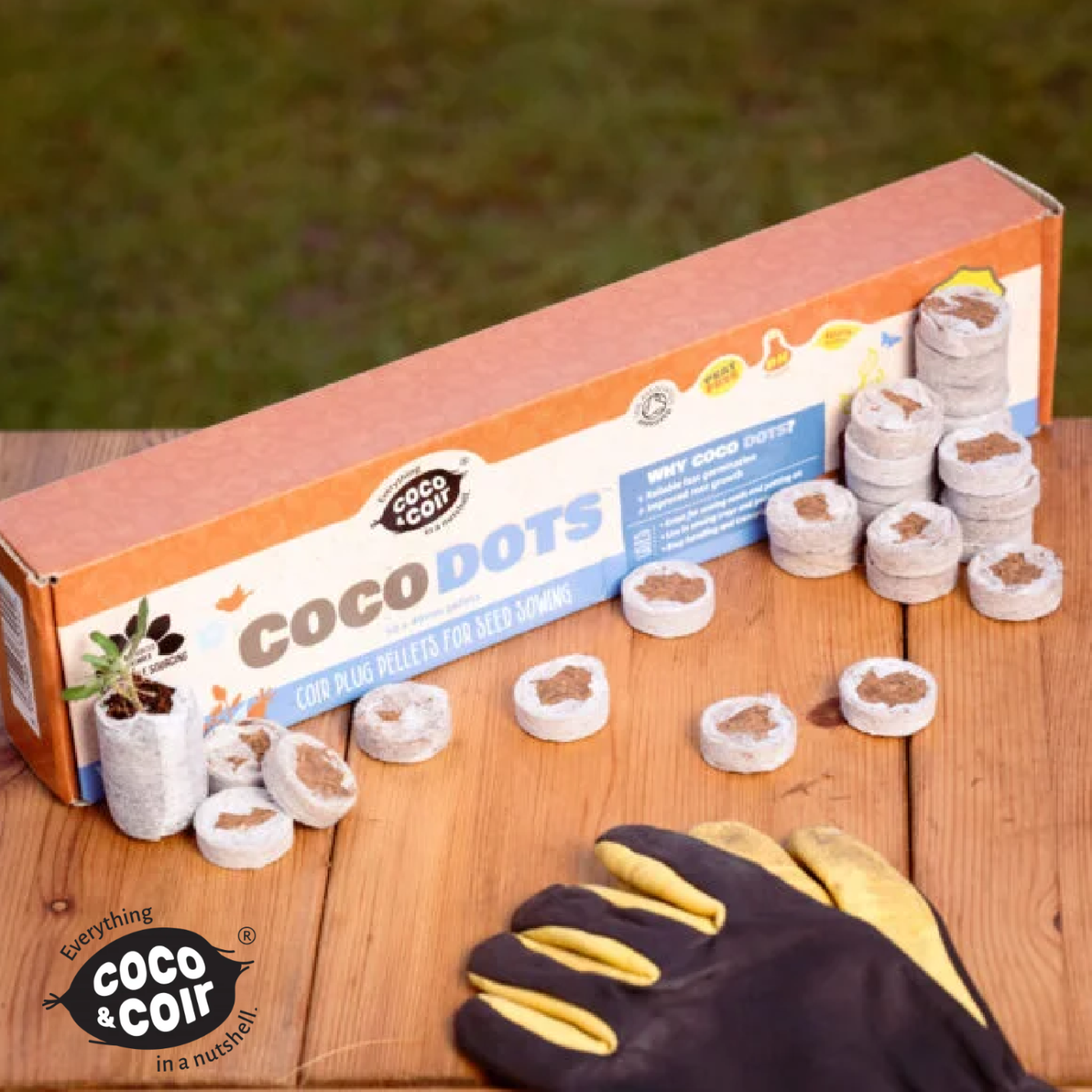 Starter Pellets - 4cm - 50 Pellets | Coco & Coir