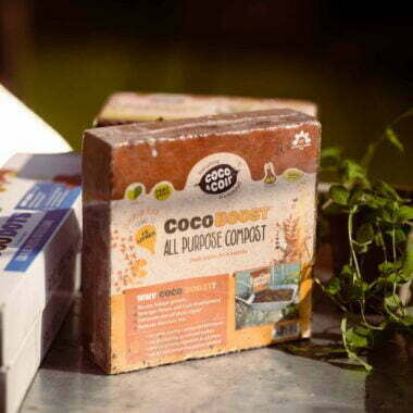 Peat Free Coir Compost | Coco soil for all gardening applications ...