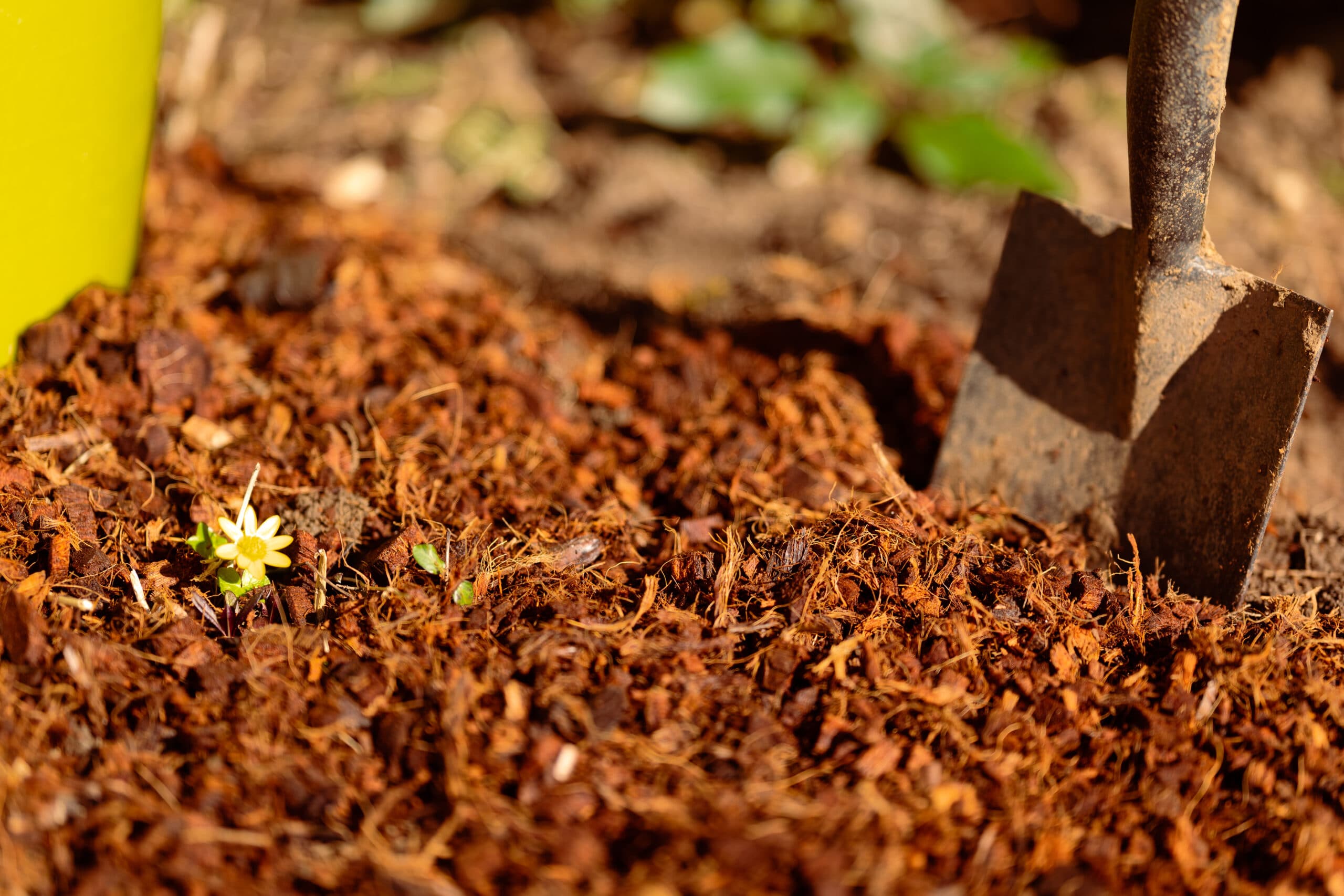 Which Peat-Free Compost Is Right For You? | Coco & Coir