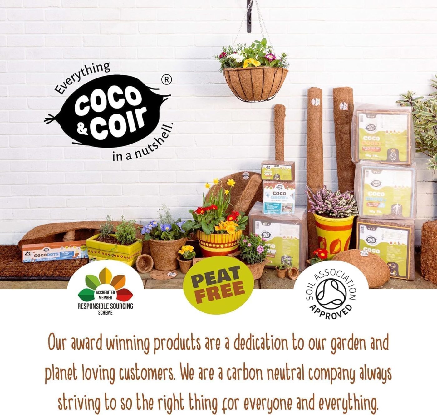 Cactus Soil and Succulent Compost (9L) | Coco & Coir