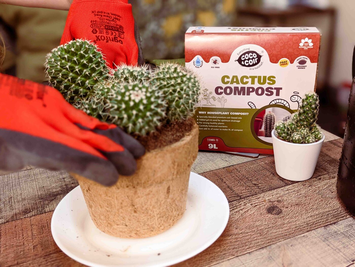 Your Ultimate Guide to The Different Types of Compost | Coco & Coir