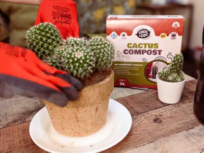 Your Ultimate Guide to The Different Types of Compost | Coco & Coir